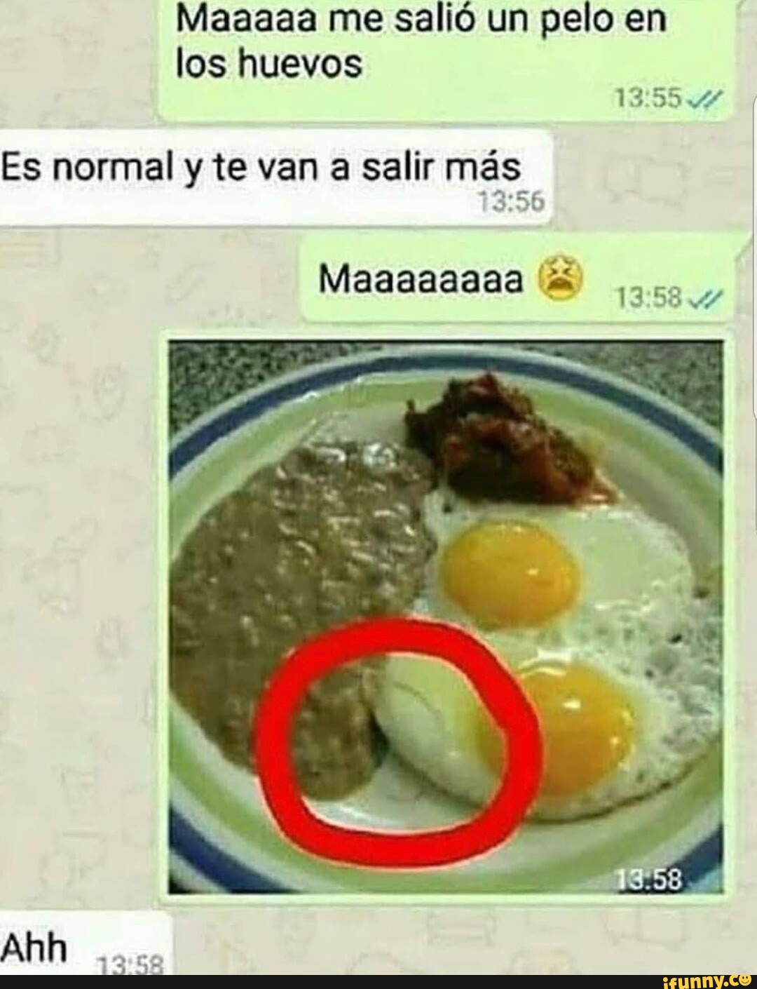 Pelo memes. Best Collection of funny Pelo pictures on iFunny