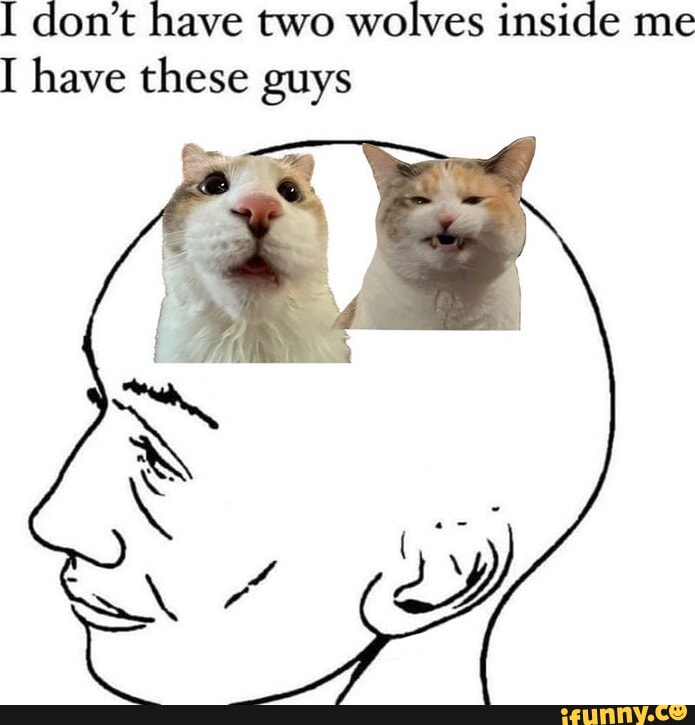 Video memes sQTYgGZ0B by GayFemboy: 1 comment - iFunny