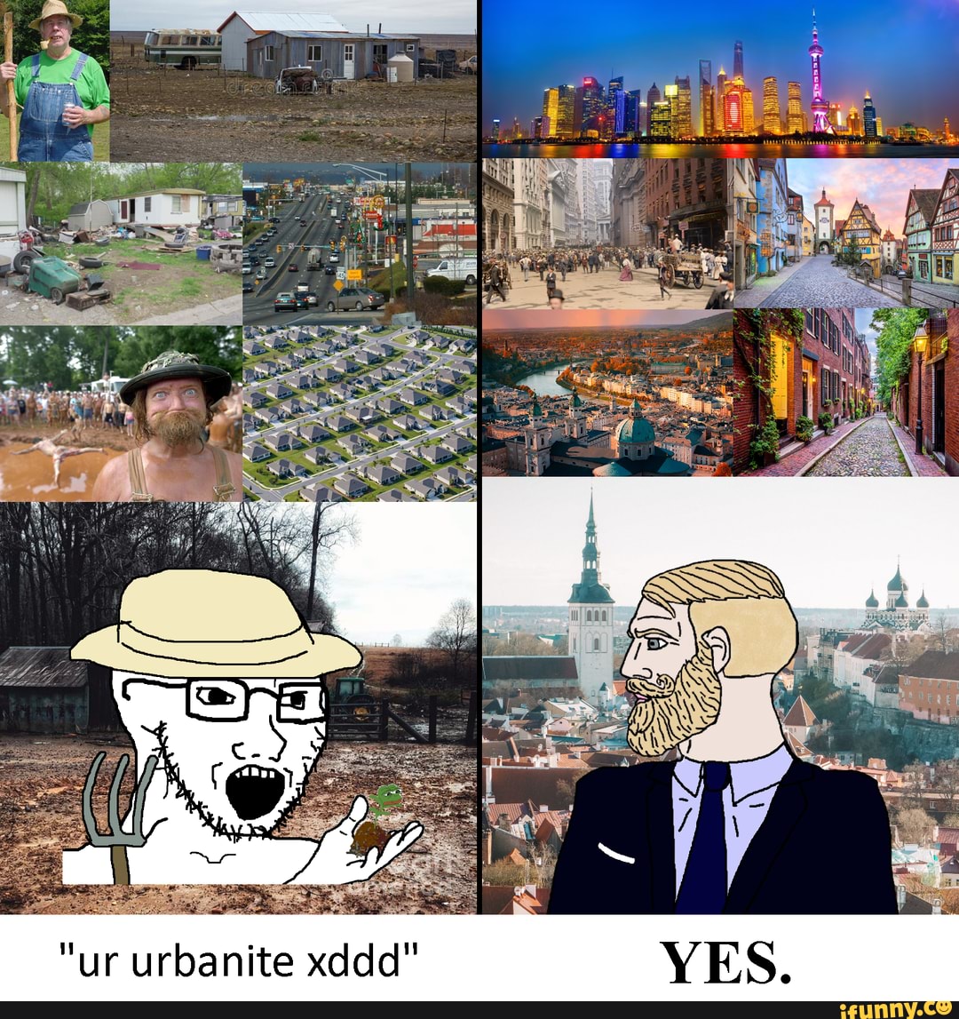 Soyboy memes. Best Collection of funny Soyboy pictures on iFunny