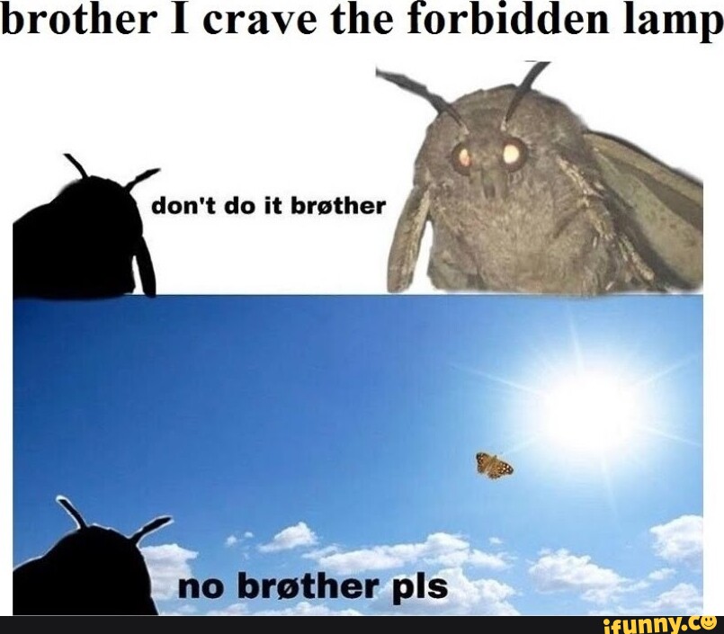 Brother I crave the forbidden lamp don't do it brother brother pis - iFunny