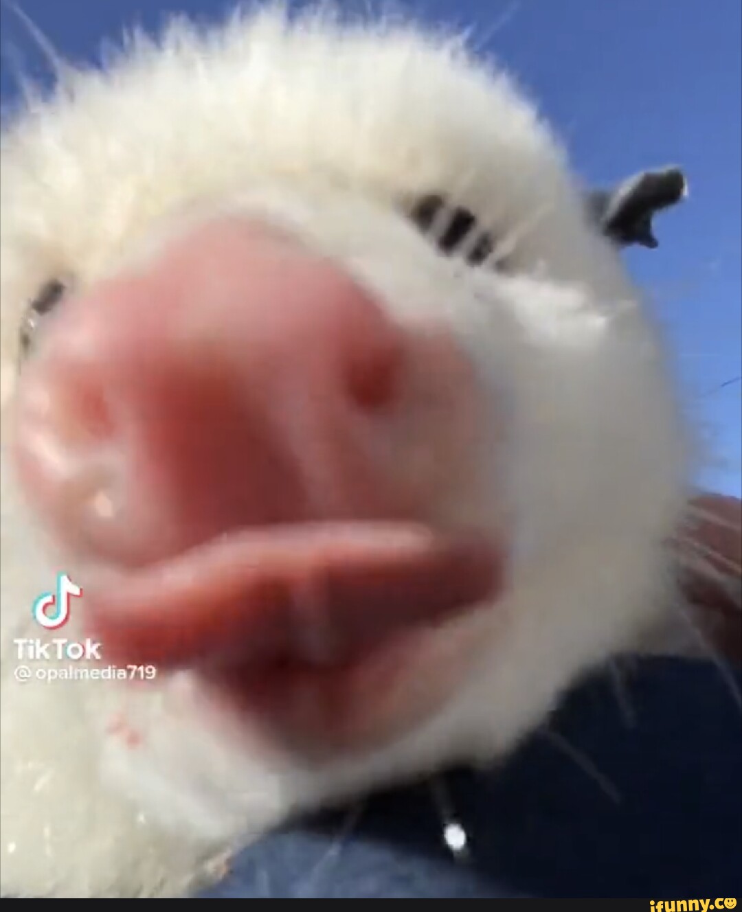 Epr memes. Best Collection of funny Epr pictures on iFunny