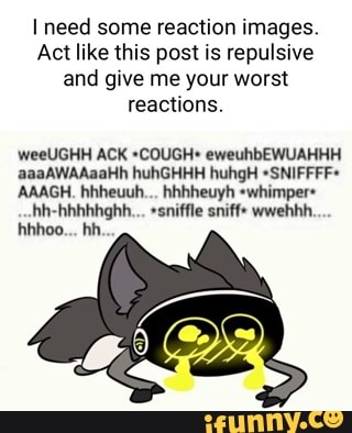 Aaaawaaaahh memes. Best Collection of funny Aaaawaaaahh pictures on iFunny