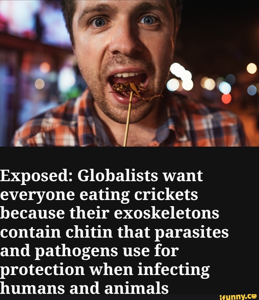 Exoskeletons memes. Best Collection of funny Exoskeletons pictures on ...