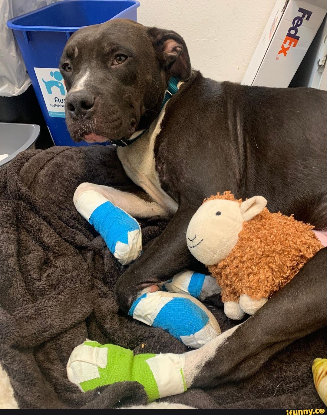 Tugboat memes. Best Collection of funny Tugboat pictures on iFunny