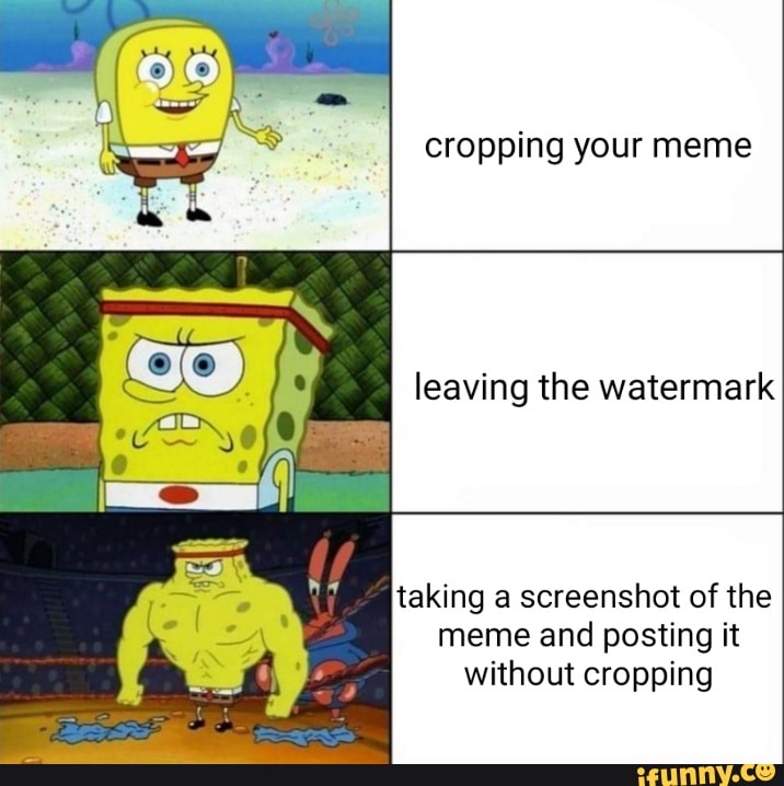 Cropping your meme leaving the watermark taking a screenshot of the ...