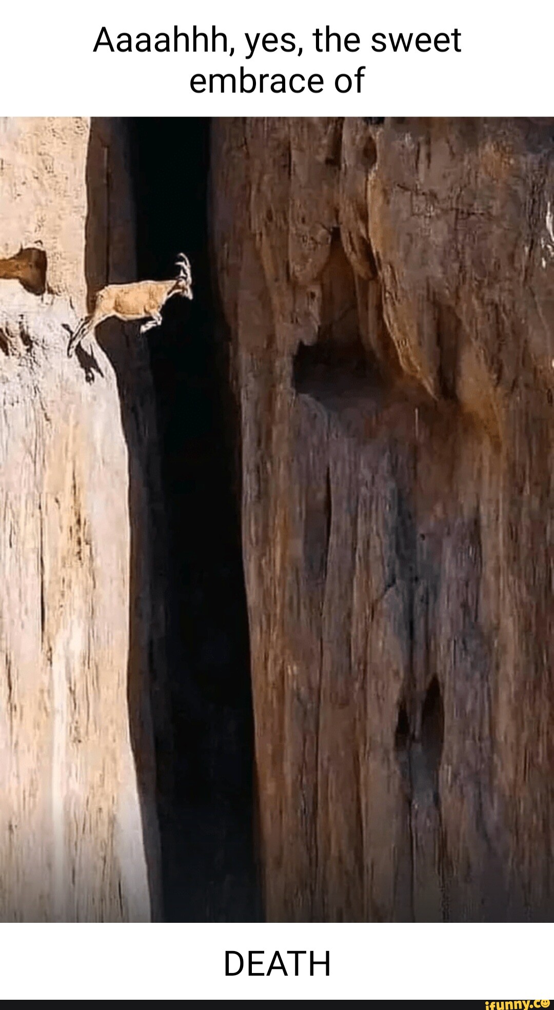 Aaaahhh, yes, the sweet embrace of DEATH - iFunny