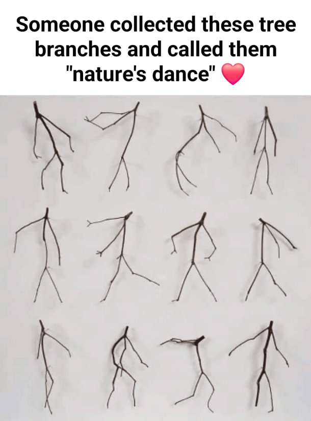 Funny Quotes memes memes. The best memes on America’s best pics and videos