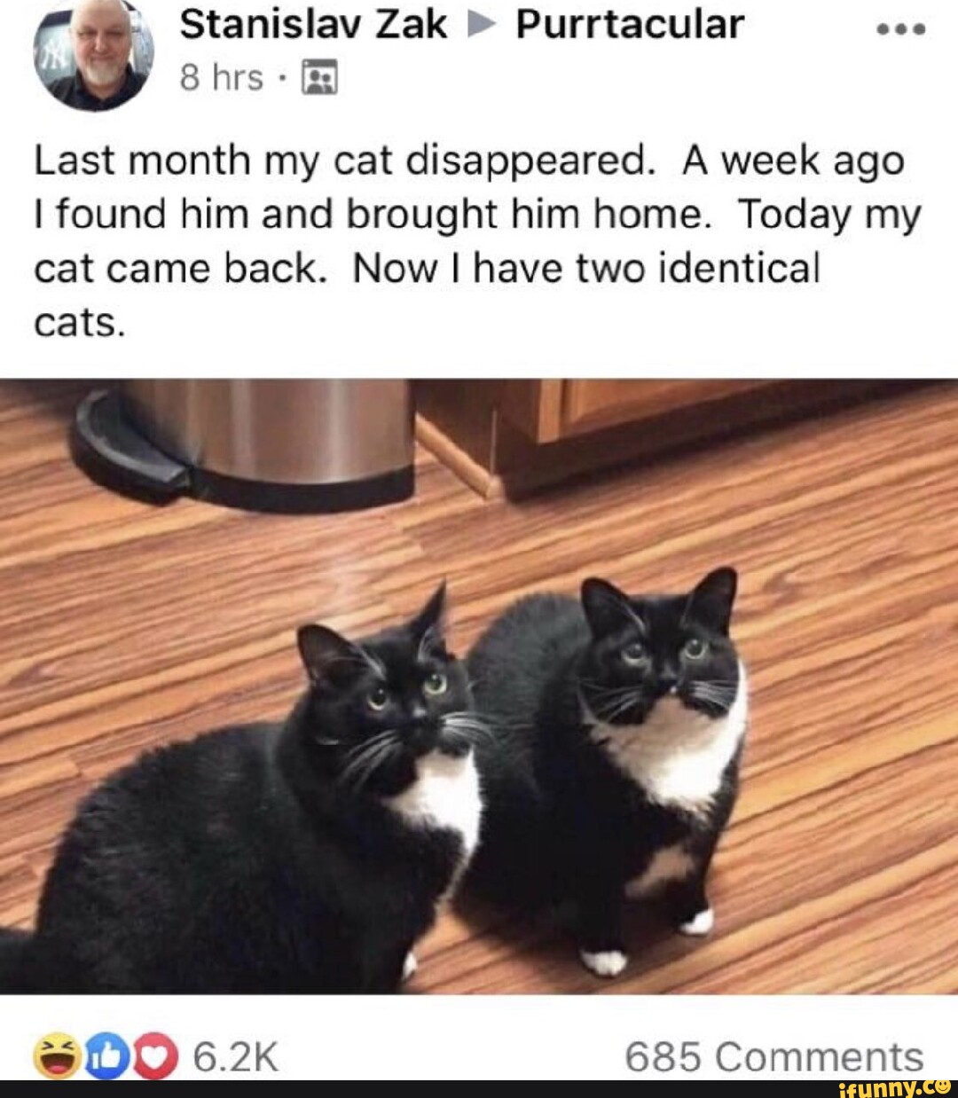 Stanislav Zak Purrtacular hrs Last month my cat disappeared. A week ago ...