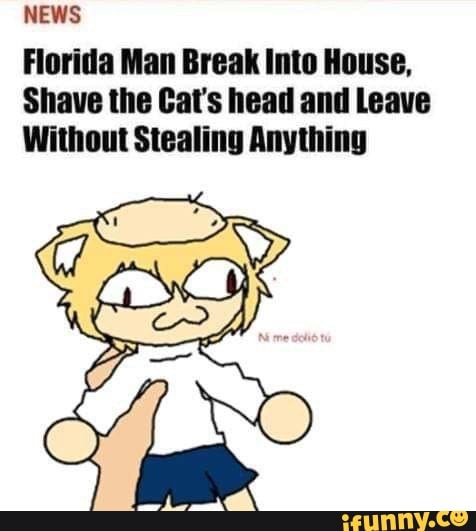 NEWS Florida Man Break Into House, Shave the Cat's head and Leave ...
