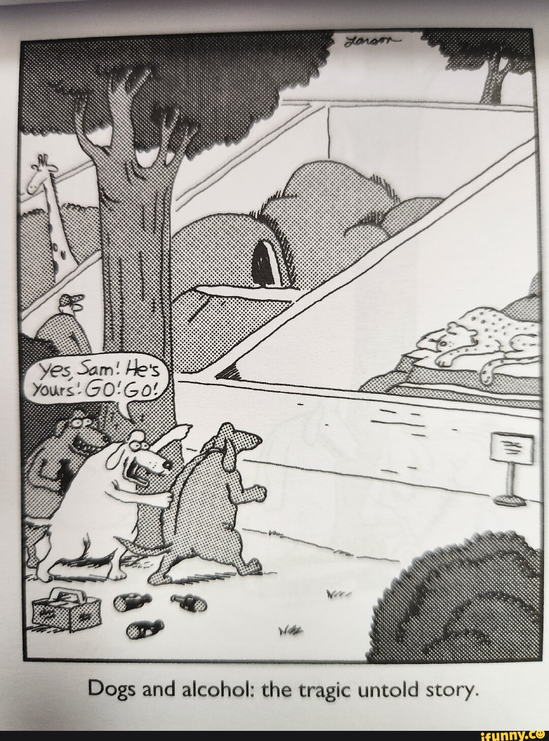 The tragic untold story. Sam GO! Dogs and alcohol "i SS yes, Yours - iFunny