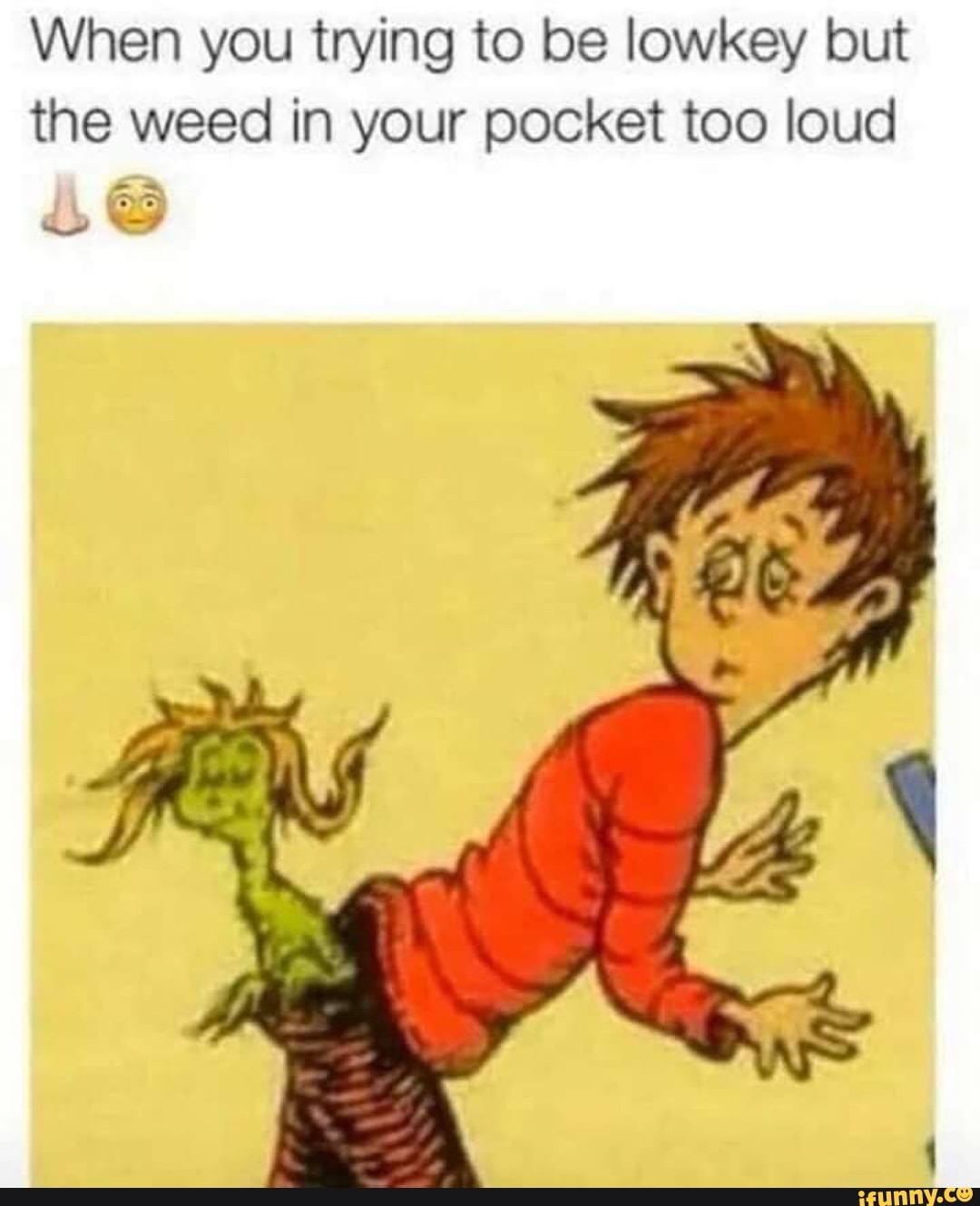 When you trying to be Iowkey but the weed in your pocket too loud - iFunny