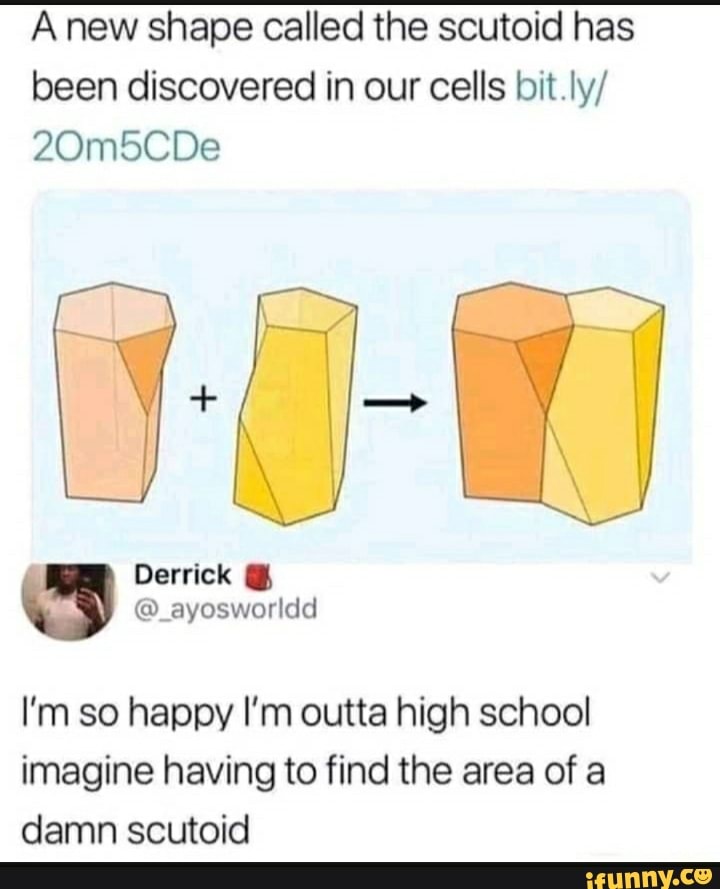 Anew shape called the scutoid has been discovered in our cells bit.I ...