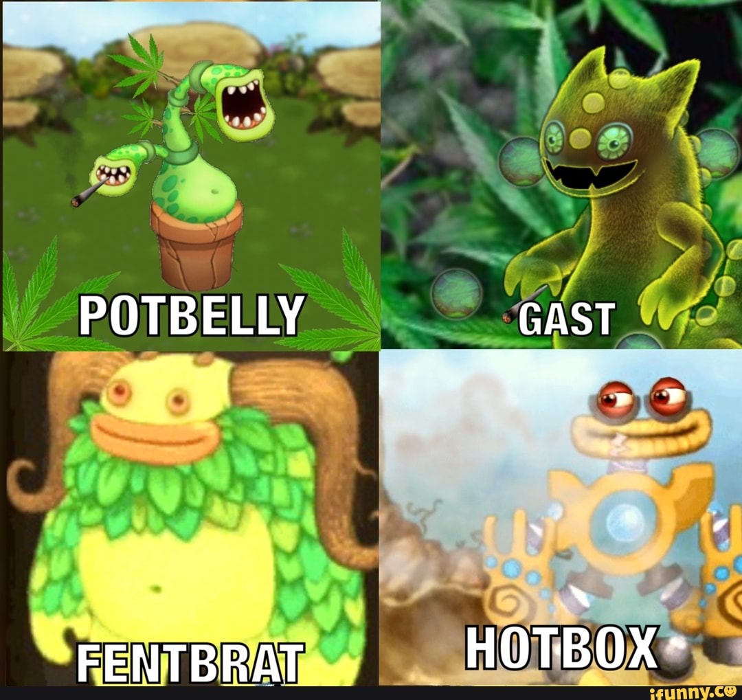 Potbelly memes. Best Collection of funny Potbelly pictures on iFunny