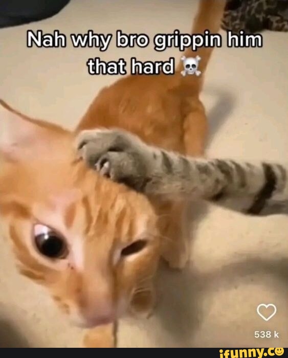 Nah why bre grippin him that hard * - iFunny
