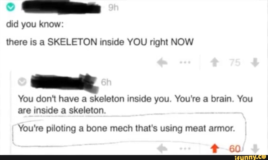 Did you know: there is a SKELETON inside YOU right NOW a You don‘t have ...