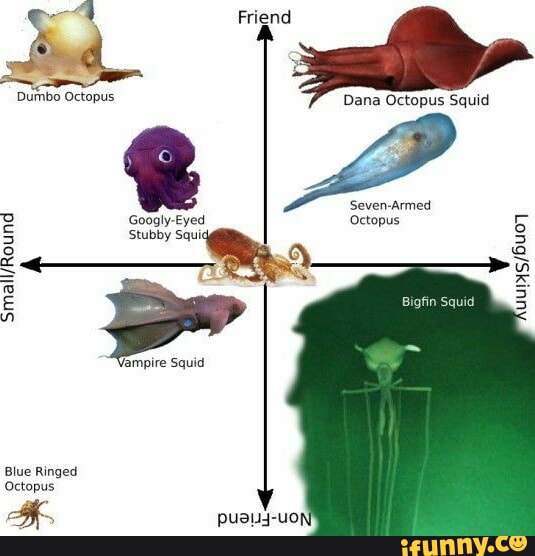 Dumbo memes. Best Collection of funny Dumbo pictures on iFunny