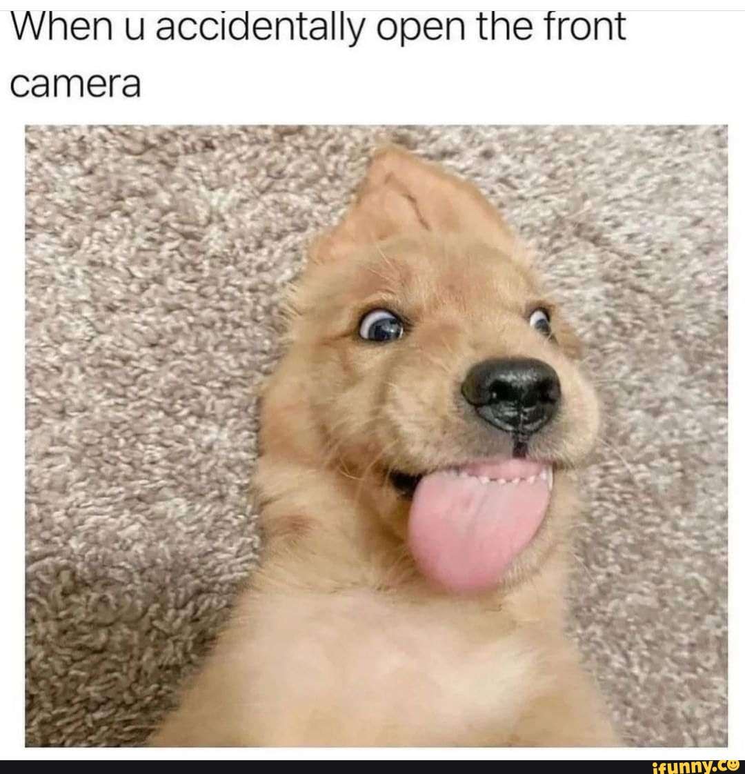 Camera memes. Best Collection of funny Camera pictures on iFunny