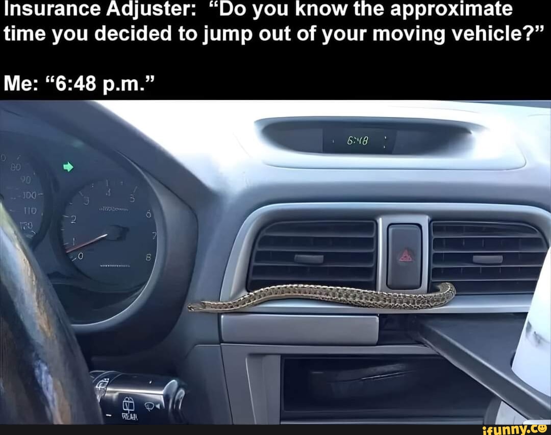 Crackhead gorlfrend Dank memer bf "calls you Has 67657864 memes in her ...