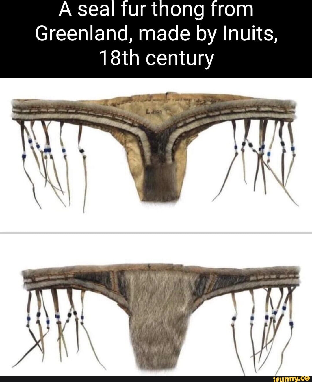 Inuits memes. Best Collection of funny Inuits pictures on iFunny