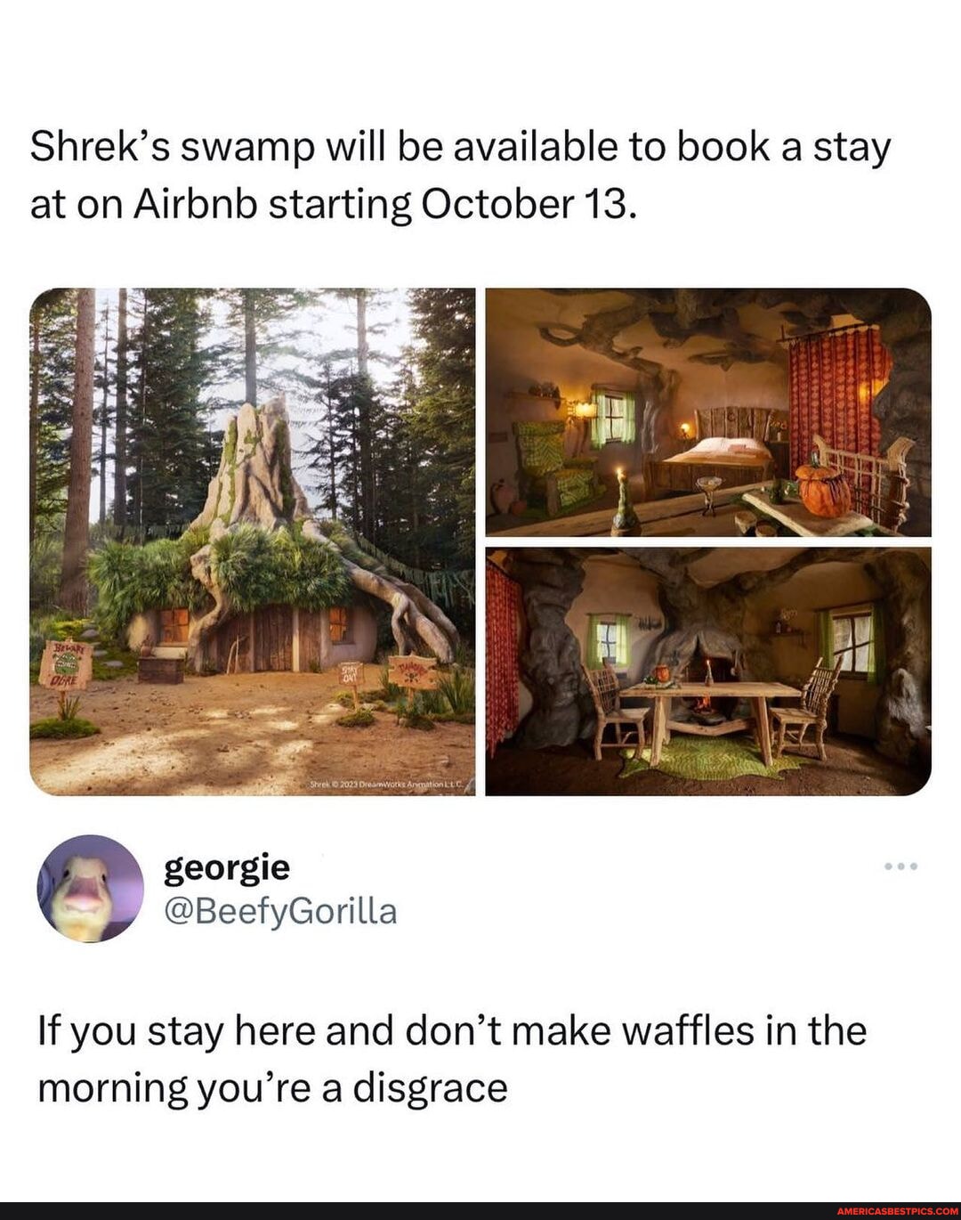 Would you stay here? 🤔 - Shrek's swamp will be available to book a stay ...