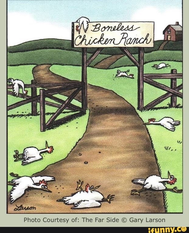 Photo Courtesy of: The Far Side Gary Larson - iFunny