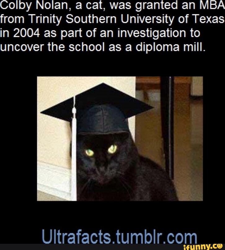 Trinity Seven memes memes. The best memes on iFunny