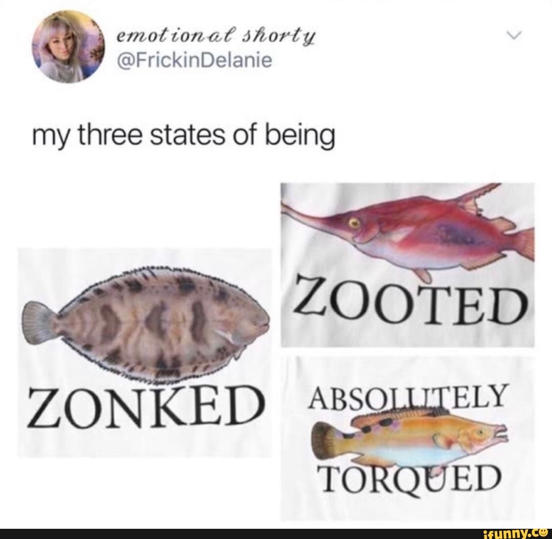My three states of being ZOOTED ZONKED ABSQLULELY TO ED - iFunny