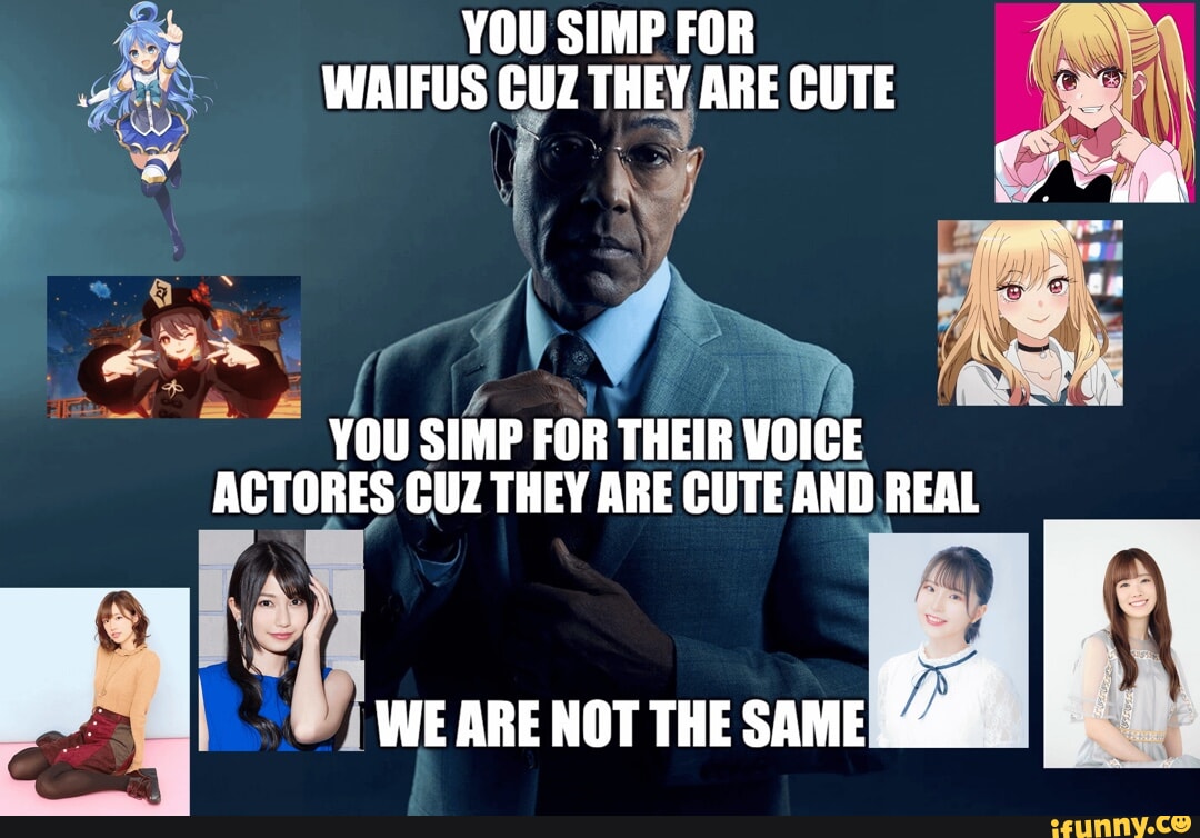 YOU SIMP FOR WAIFUS CUZ THEY ARE CUTE YOU SIMP FOR THEIR VOICE ACTORES ...