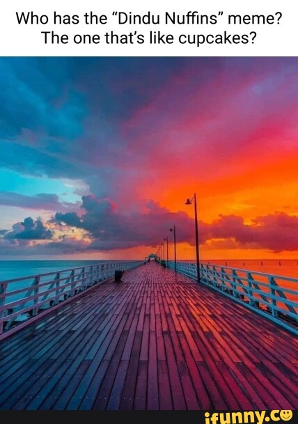 Nuffins memes. Best Collection of funny Nuffins pictures on iFunny