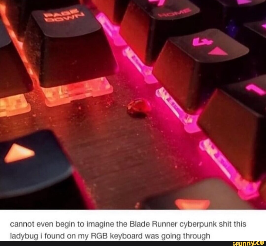 Rgb memes. Best Collection of funny Rgb pictures on iFunny