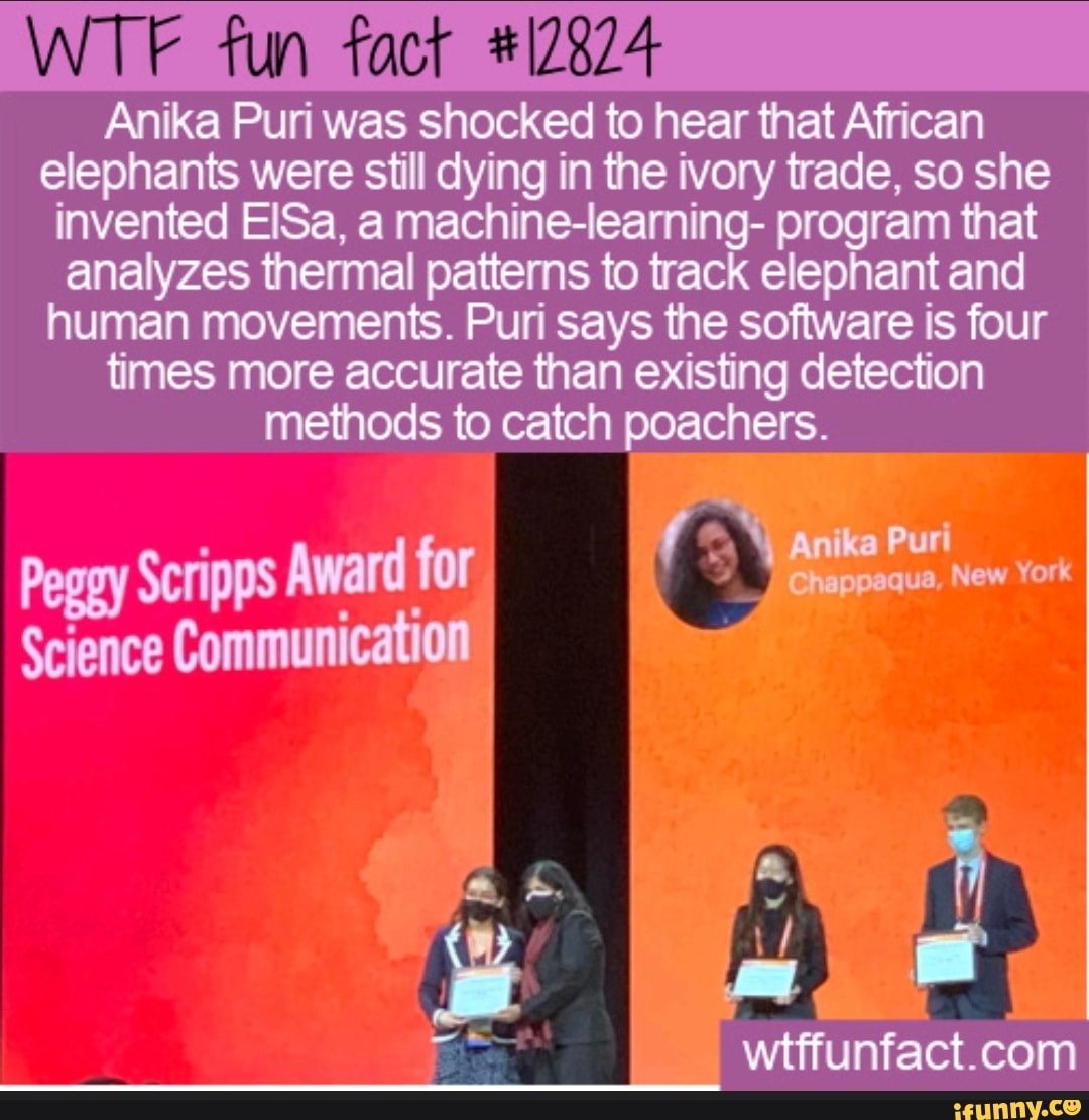 Anika memes. Best Collection of funny Anika pictures on iFunny