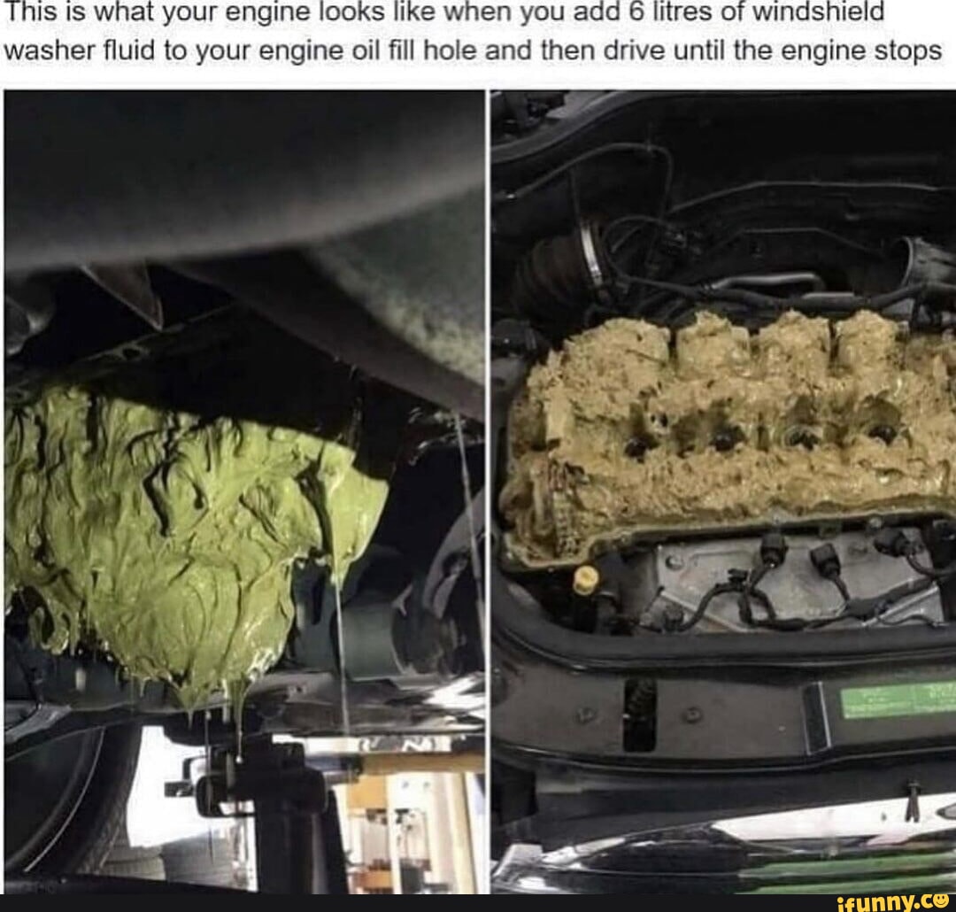 Windshield memes. Best Collection of funny Windshield pictures on iFunny