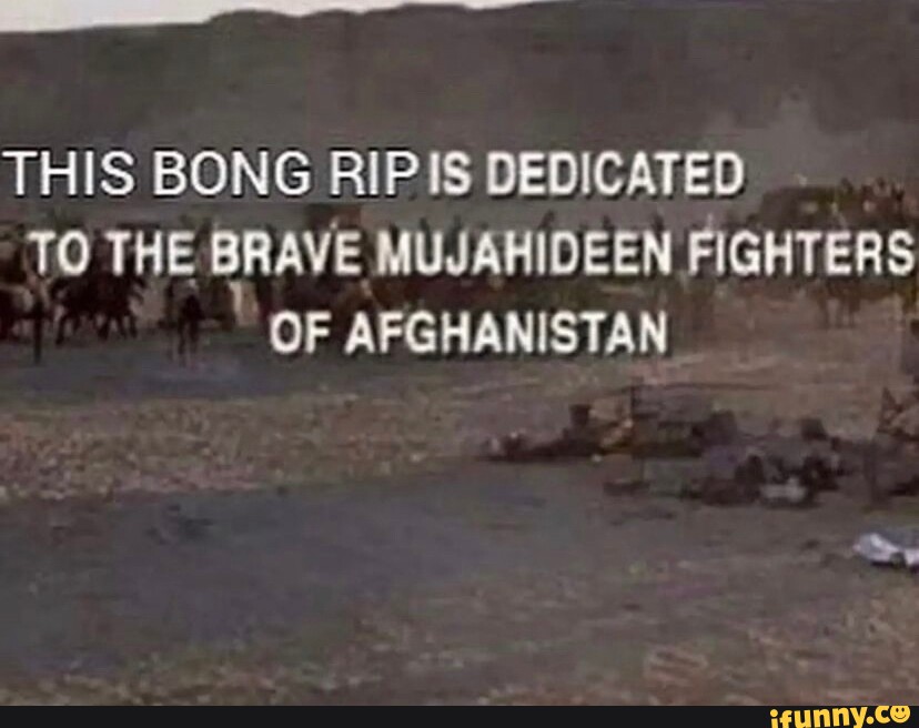 THIS BONG RIP IS DEDICATED TO THE BRAVE MUJAHIDEEN FIGHTERS OF ...