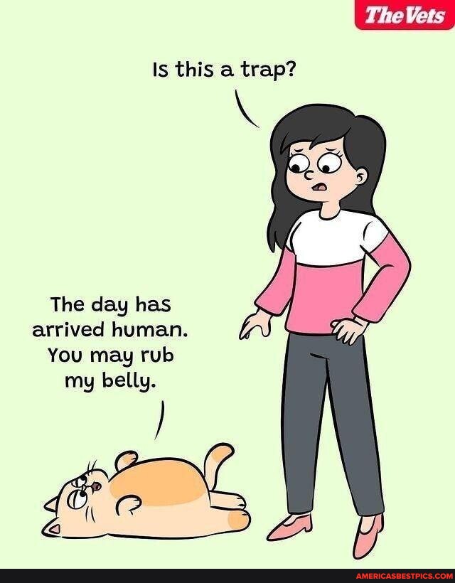 Is this a trap? The day has arrived human. You may rub my belly ...