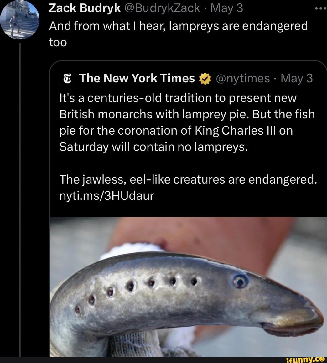 Lamprey memes. Best Collection of funny Lamprey pictures on iFunny