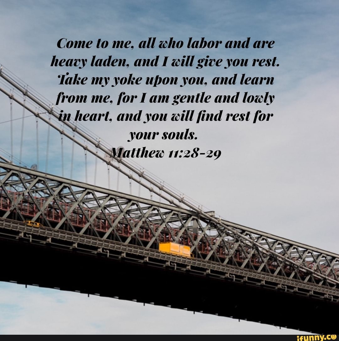 Lowly memes. Best Collection of funny Lowly pictures on iFunny