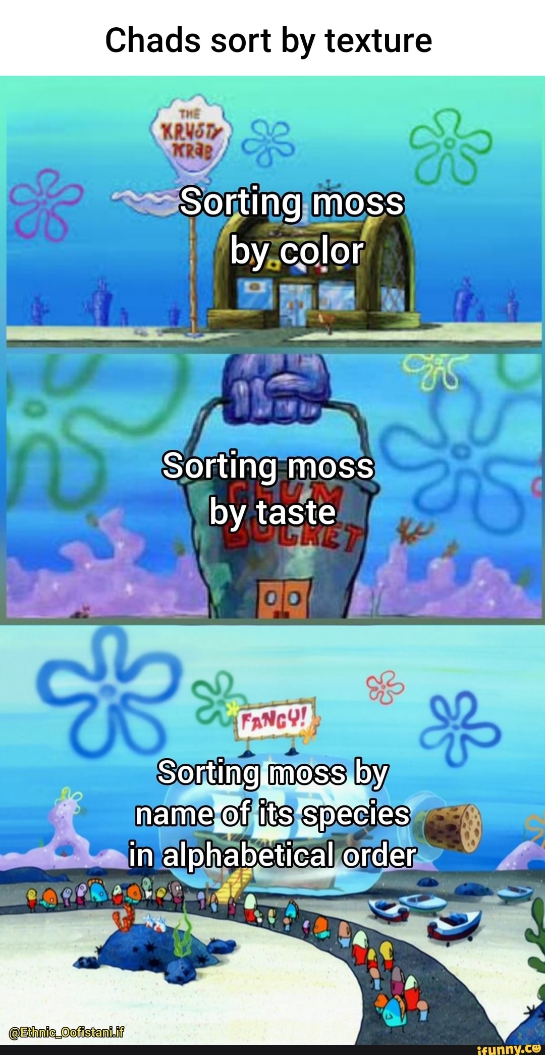 Chads sort by texture Sorting moss by color Sorting moss by taste La RS ...