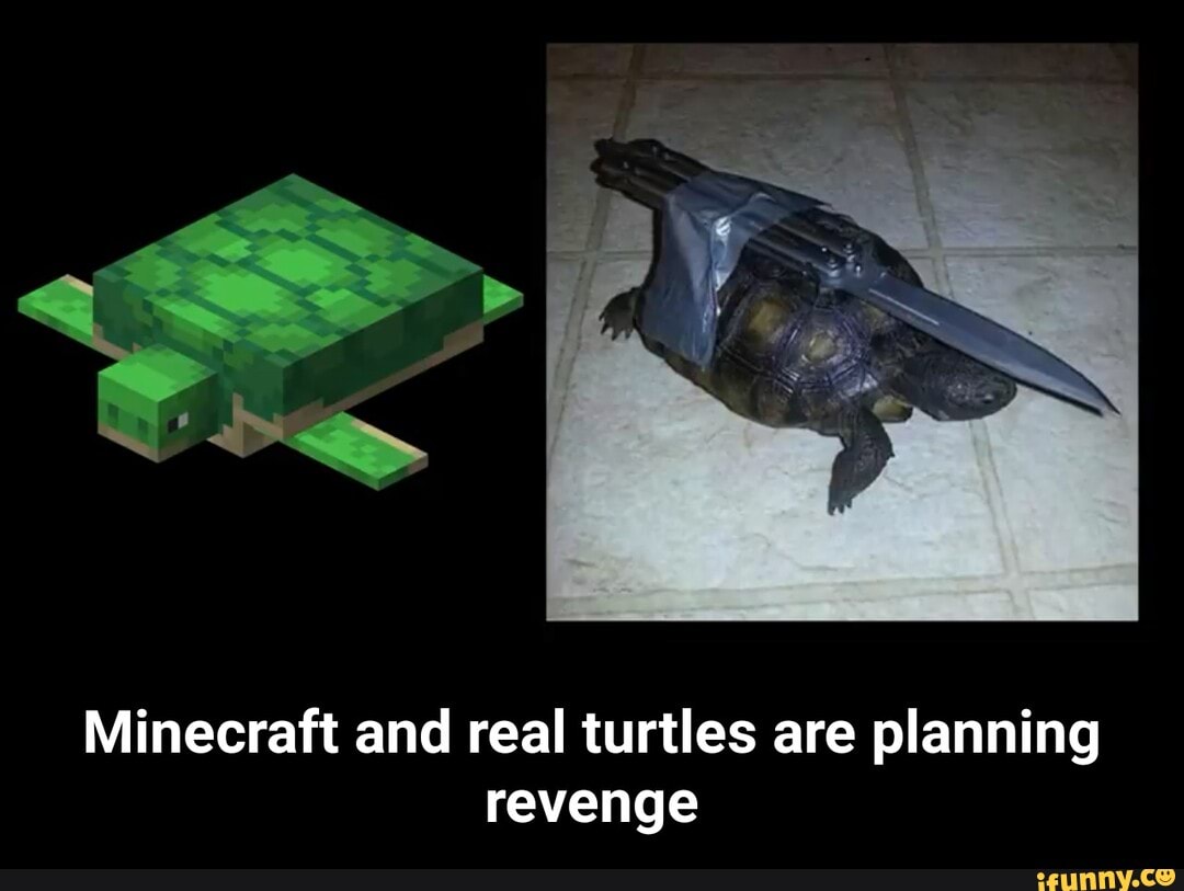 Minecraft and real turtles are planning revenge - Minecraft and real ...