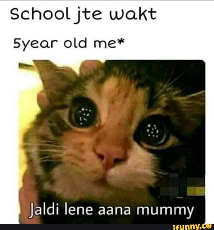 Jaldi memes. Best Collection of funny Jaldi pictures on iFunny