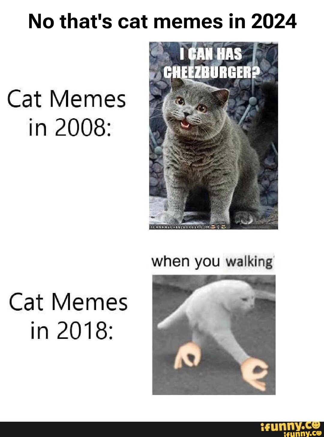 No that's cat memes in 2024 Cat Memes in 2008: when you walking Cat ...
