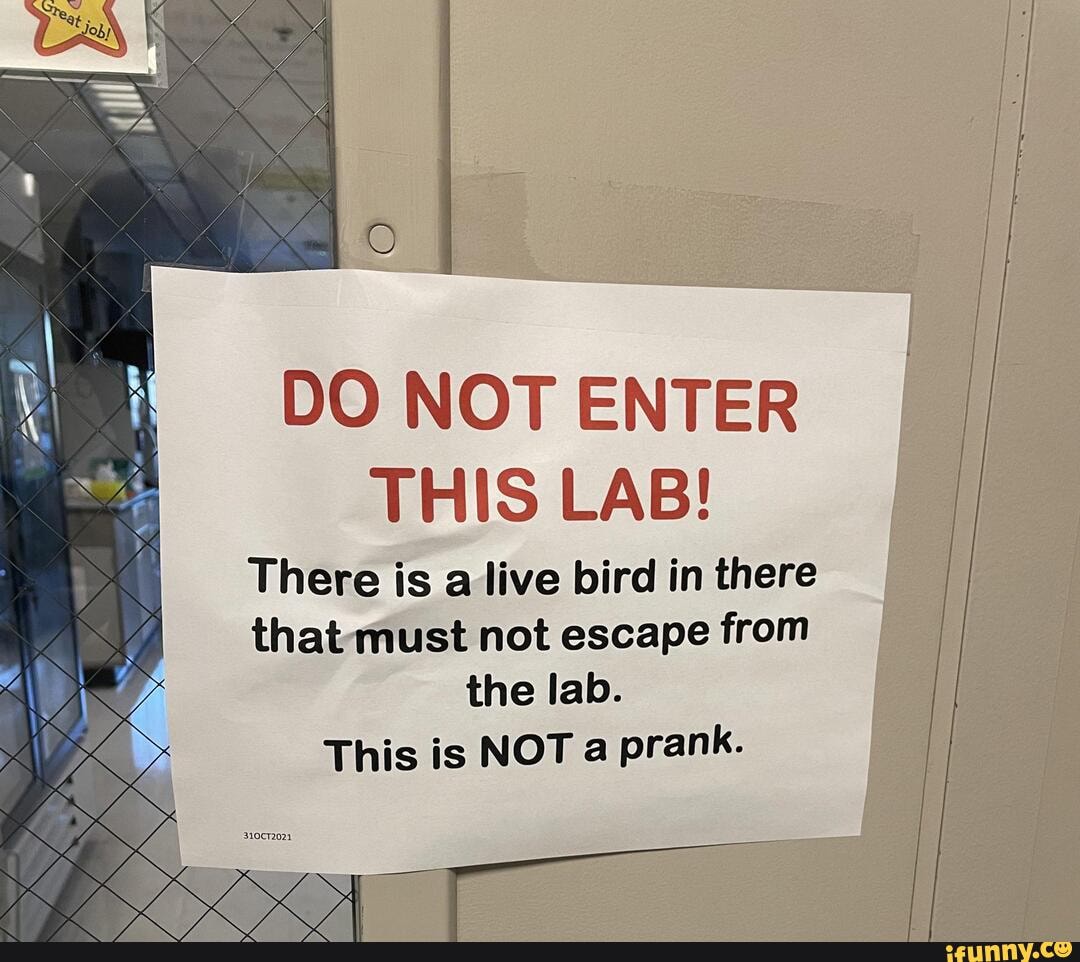 DO NOT ENTER THIS LAB! There is a live bird in there that must not ...