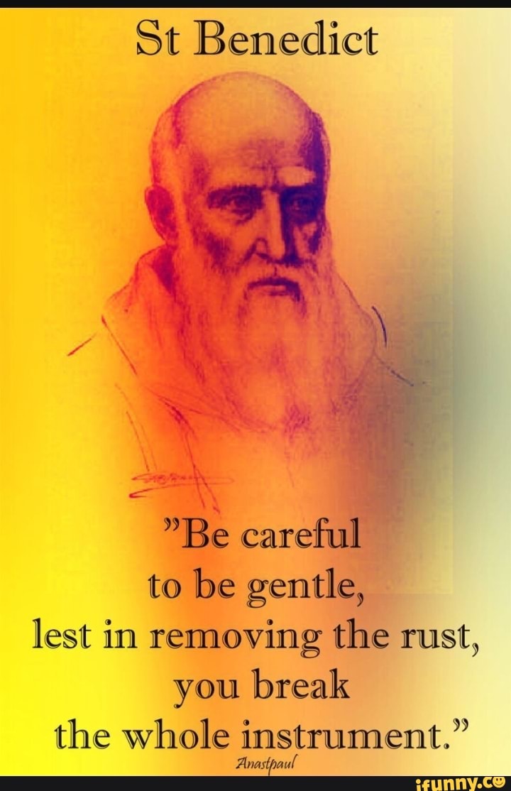 St Benedict "Be careful to be gentle, lest in removing the rust, you ...