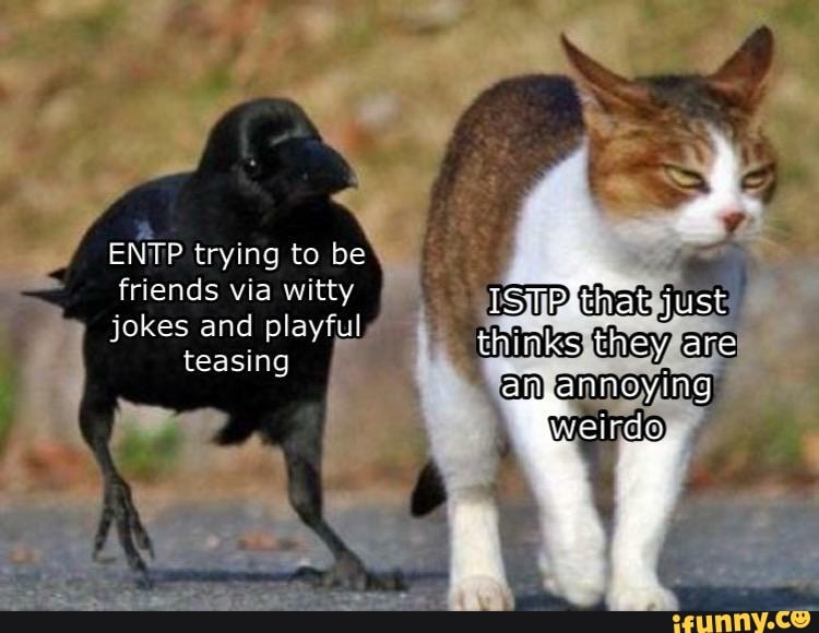 ENTP trying to be friends via witty jokes and playful teasing en ...