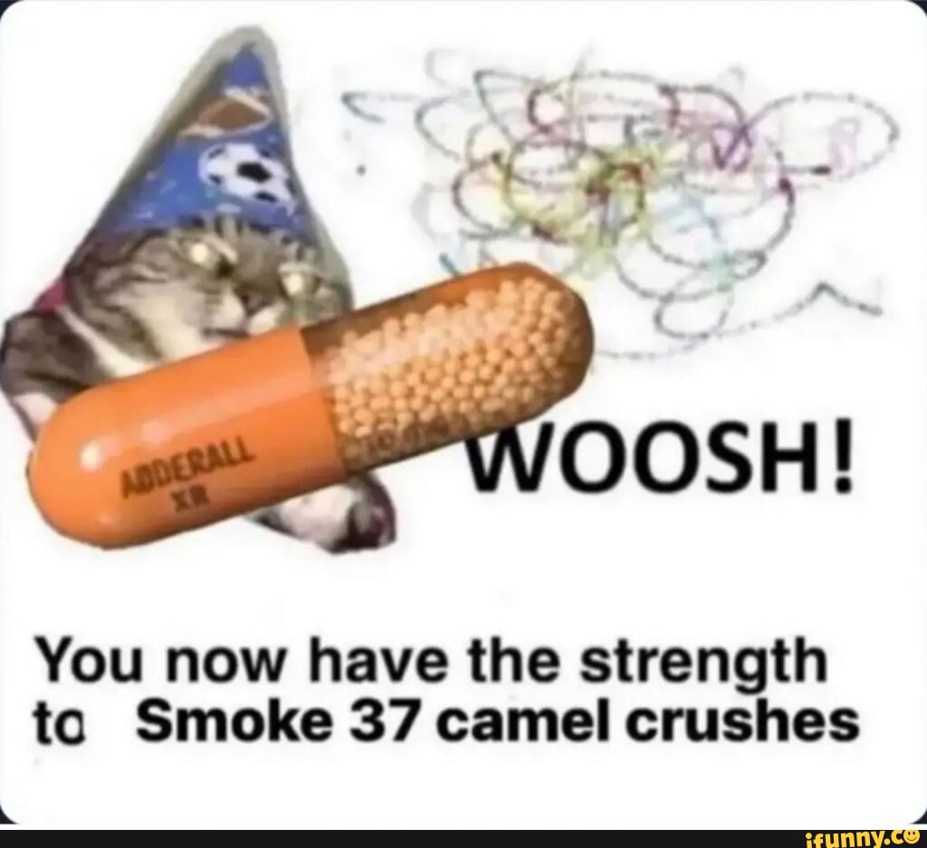 Camel memes. Best Collection of funny Camel pictures on iFunny