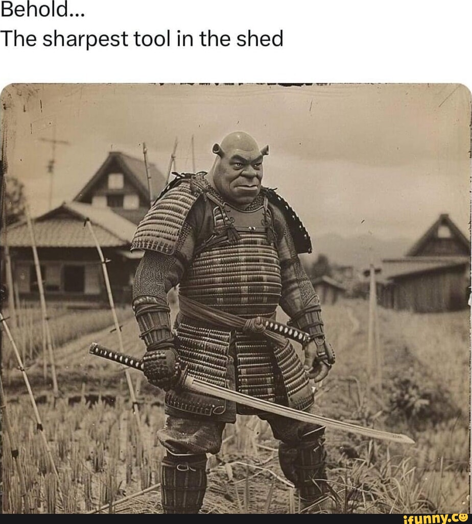 Benold... The sharpest tool in the shed - iFunny