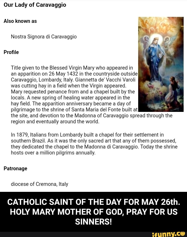 Signora memes. Best Collection of funny Signora pictures on iFunny