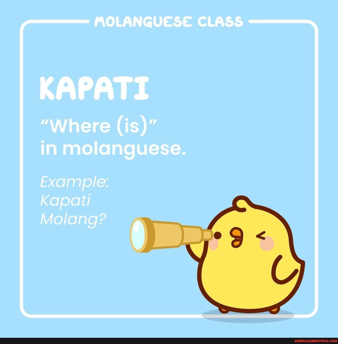 MOLANGUESE CLASS KAPATI "Where (is)" in molanguese. Example: Kapati ...