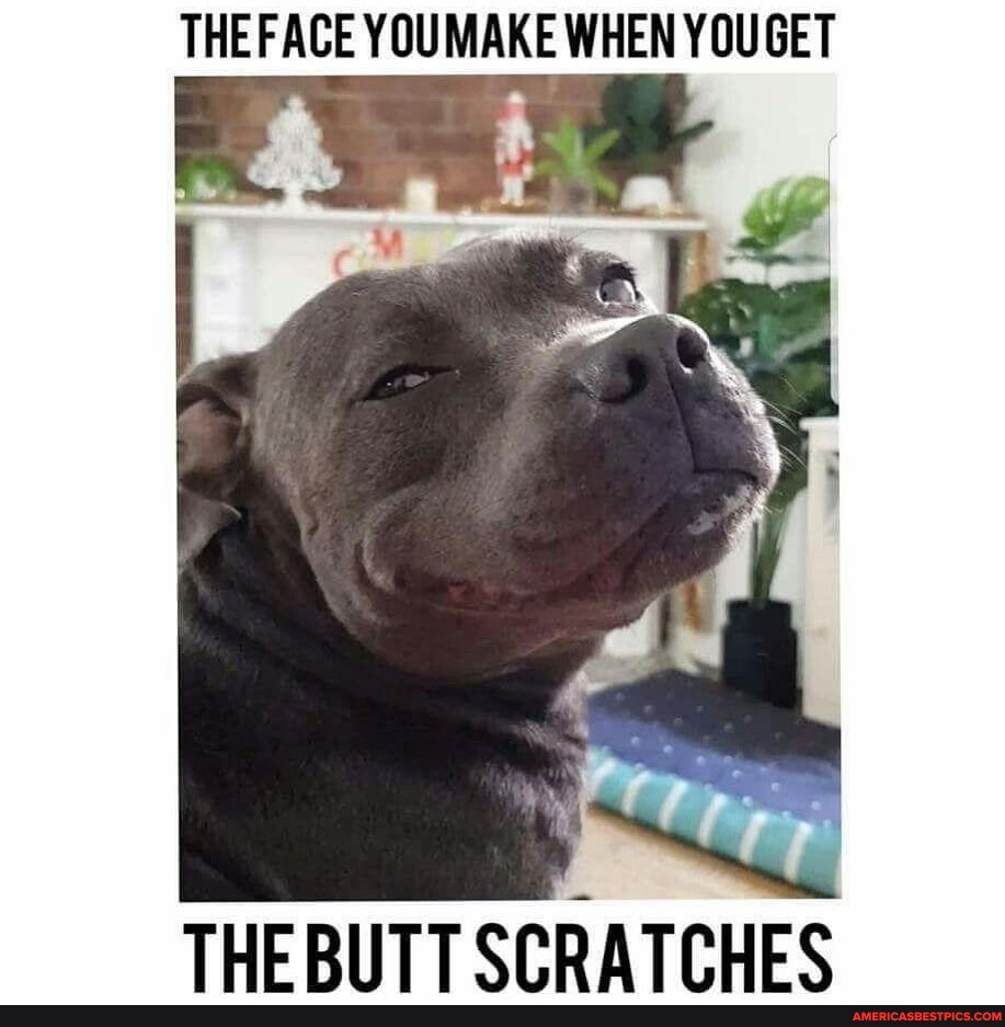 Fantastic side-eye>bombastic side eye👀💕 Source: Unknown