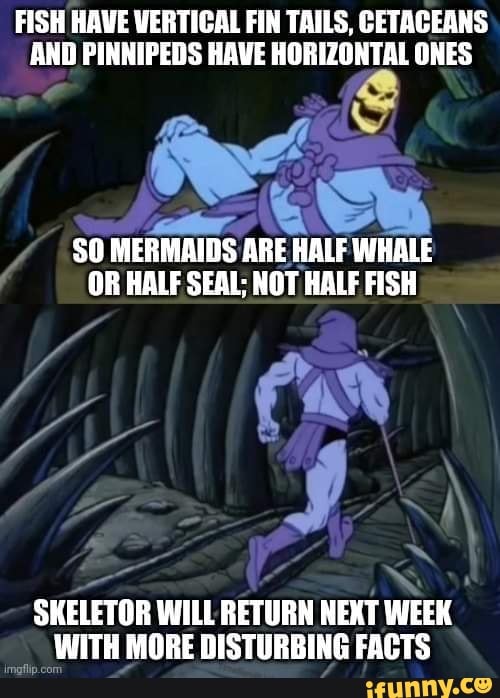 Cetaceans memes. Best Collection of funny Cetaceans pictures on iFunny