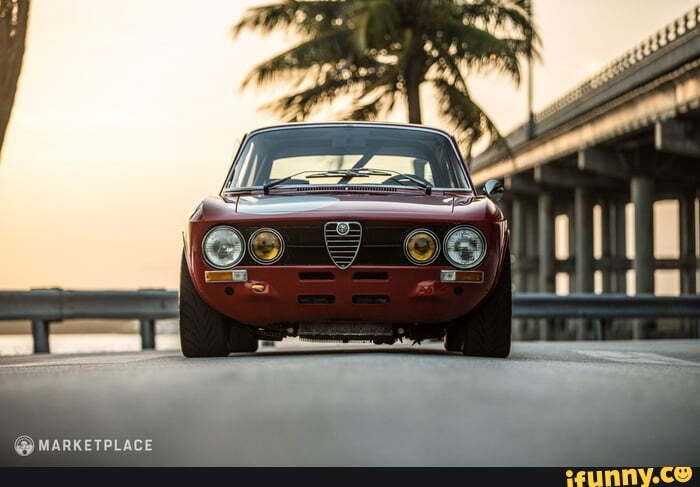 Alfa_romeo_alfetta_gtgtv memes. Best Collection of funny Alfa_romeo ...